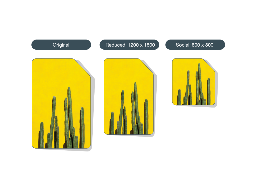 File Management Software | Digital Asset Management Software