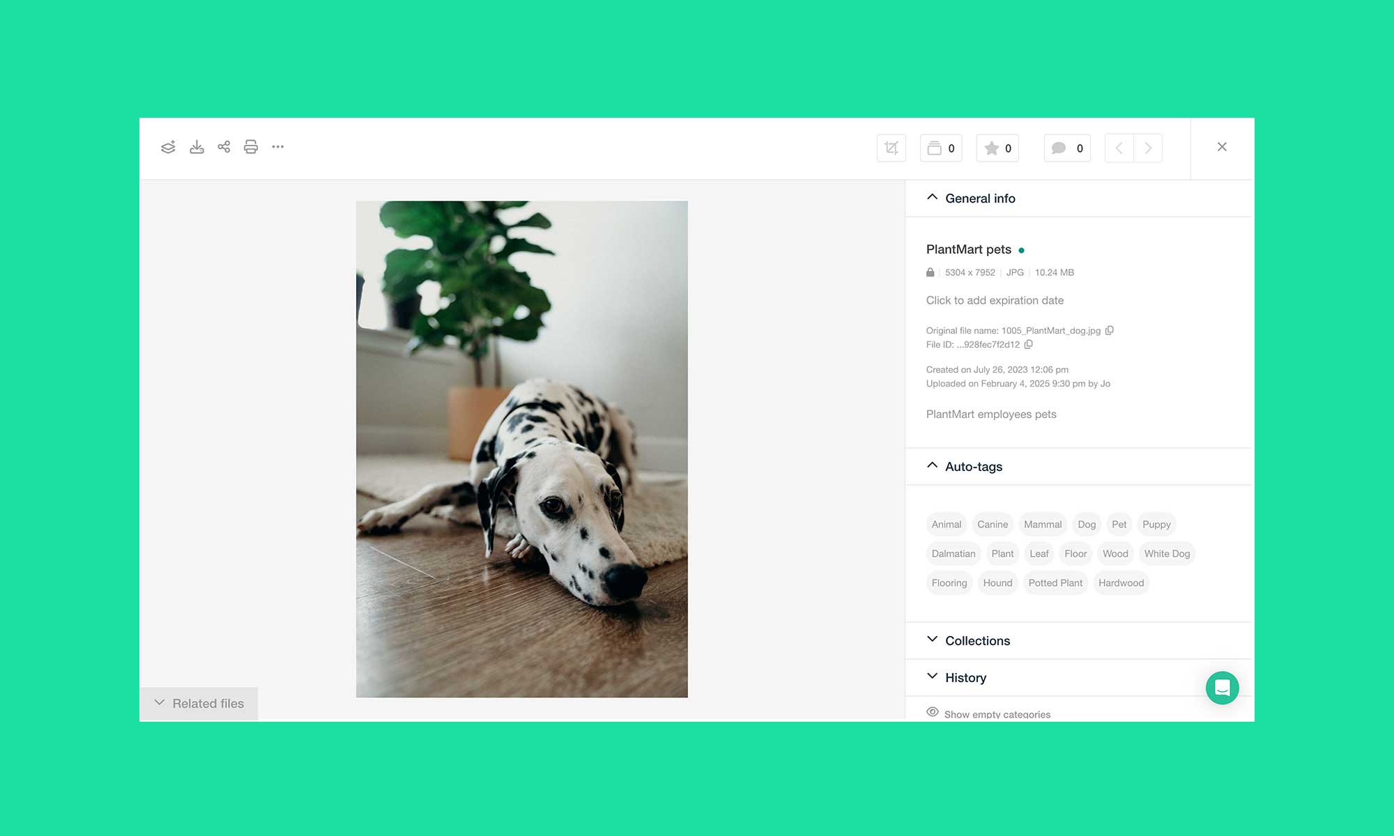 Transform Your DAM with Stockpress Custom and AI Tagging