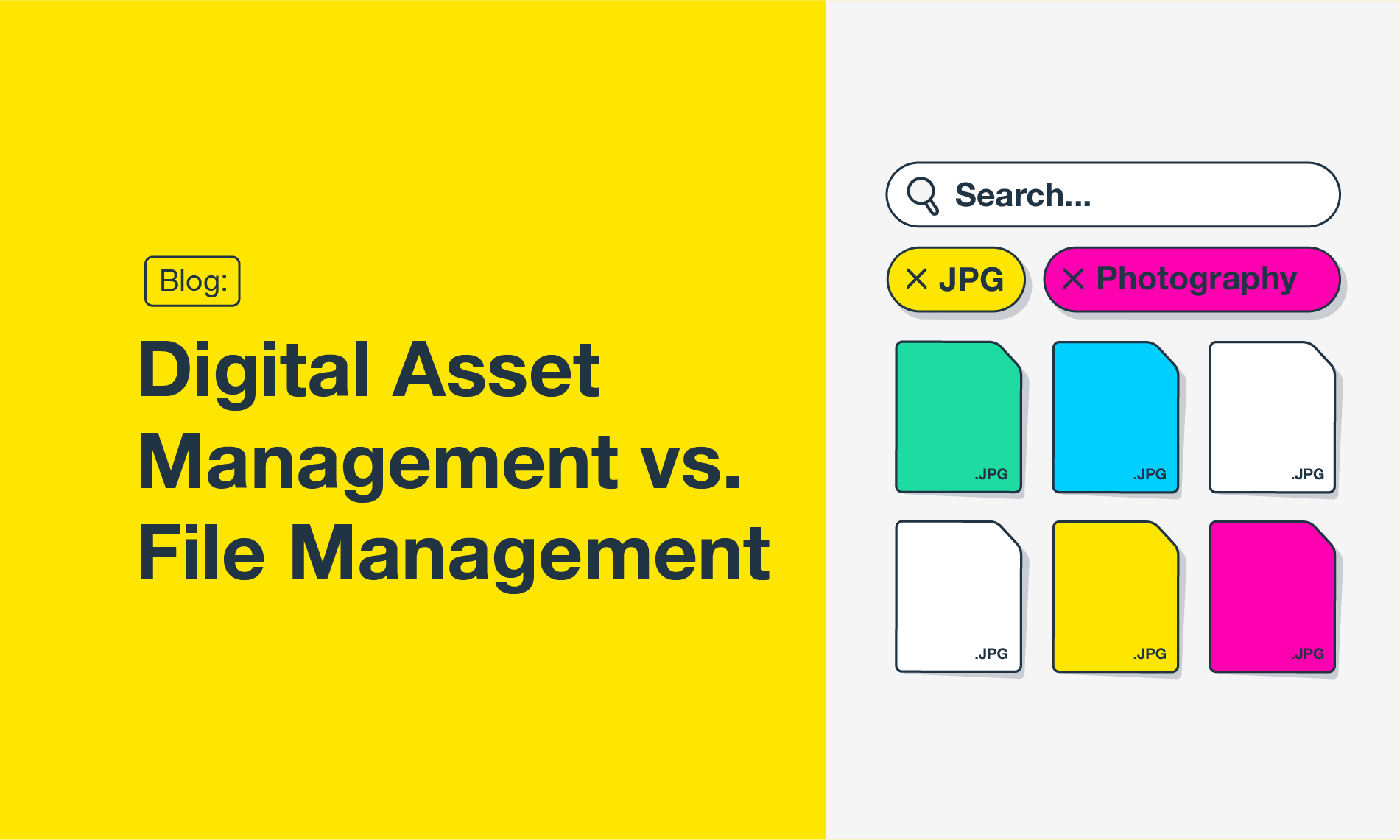 Digital Asset Management vs File Management - the difference